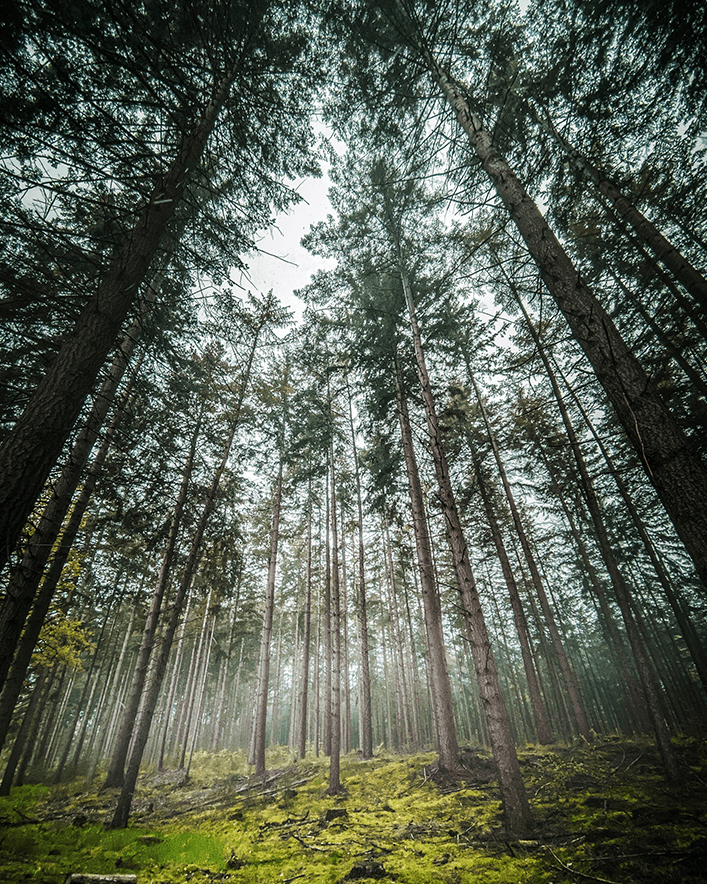 Itis ja CO2-päästöt - Itis